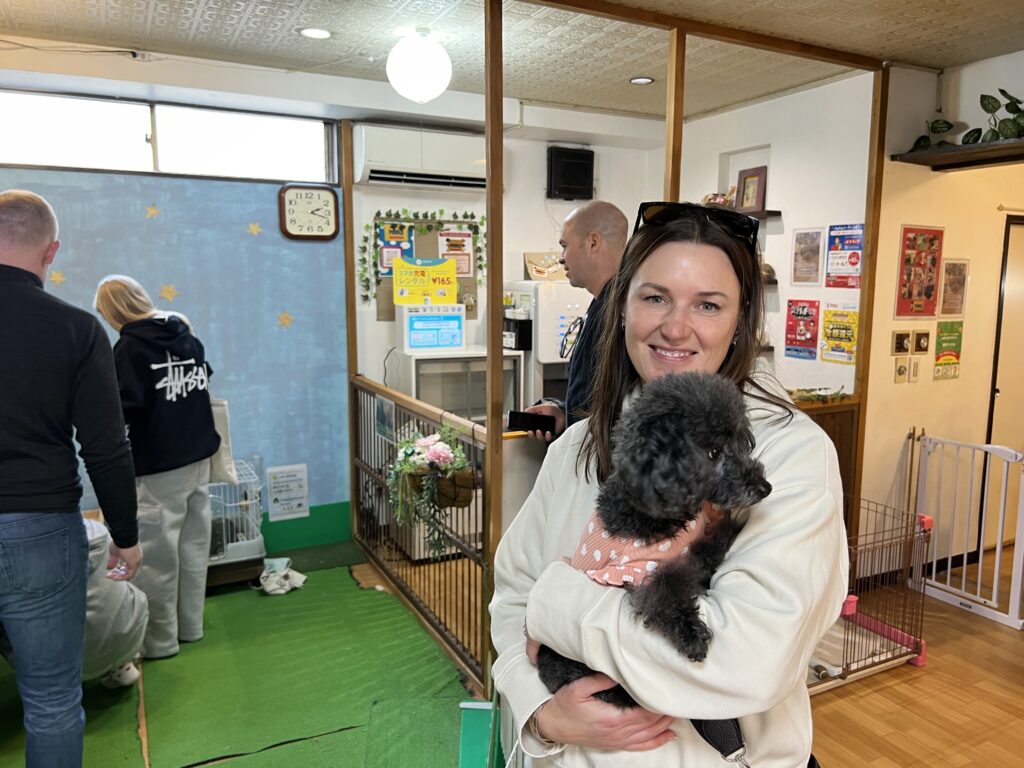 Tokyo 1 day tour, Hachiko faithful dog,Shibuya crossing, Meiji Shrine ...