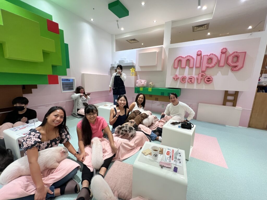 Tokyo 1 day tour, Mini pig cafe, Meiji shrine,Shibuya crossing ...