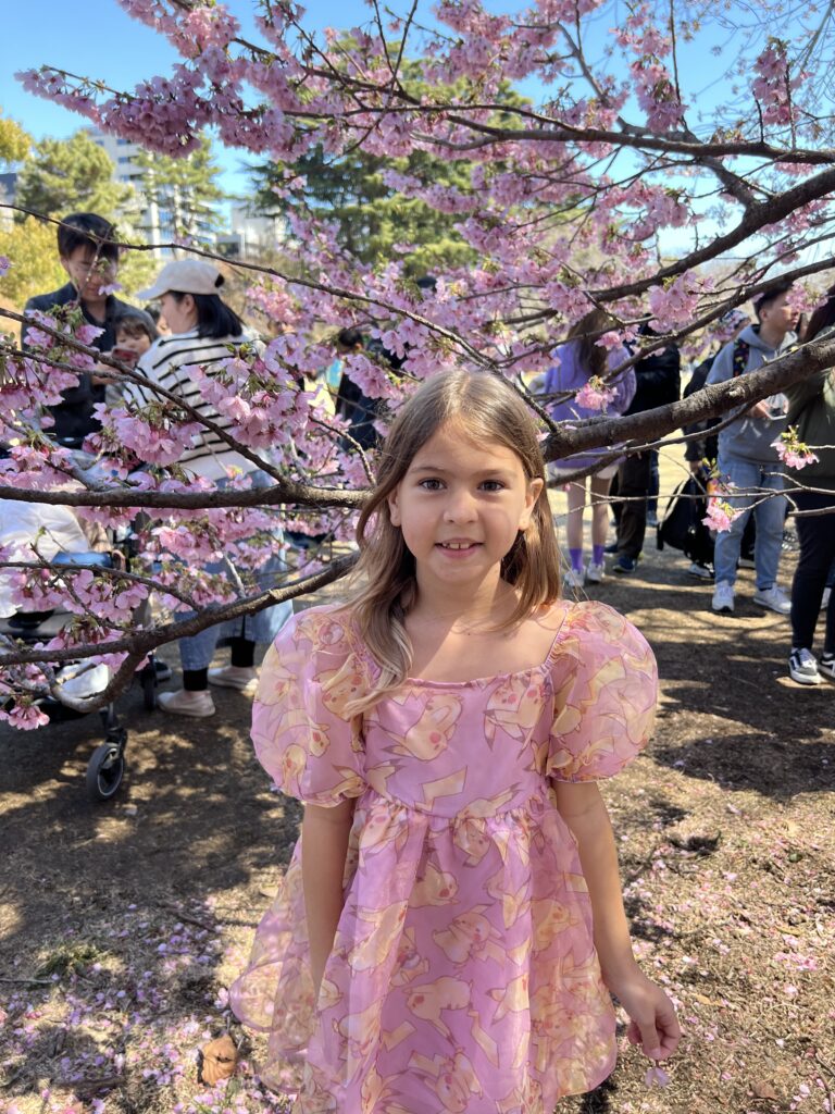 Tokyo Hanami ( cherry blossom viewing)tour, Golden Gai ( bar town ...