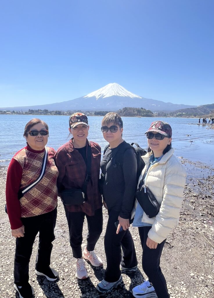 Mt.Fuji, 5storied pagoda with Wagasa ( Japanese parasol),Honcho street ...