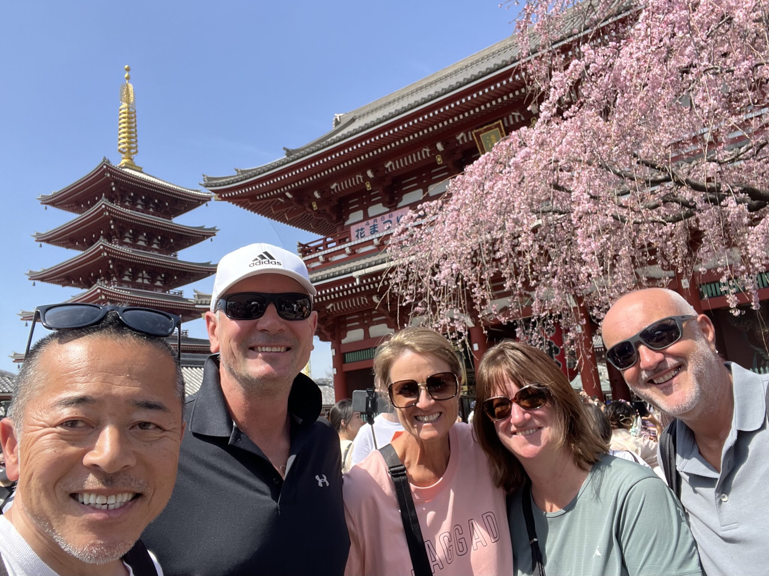 Tokyo 1 day tour, Omoide yokocho( memory lane) ,Shibuya crossing, Meiji ...