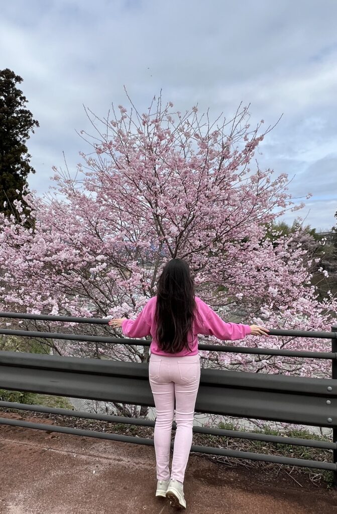 Joy of mountain area of Japan,Hirugami Onsen( hot spring), Tenryu Gorge ...