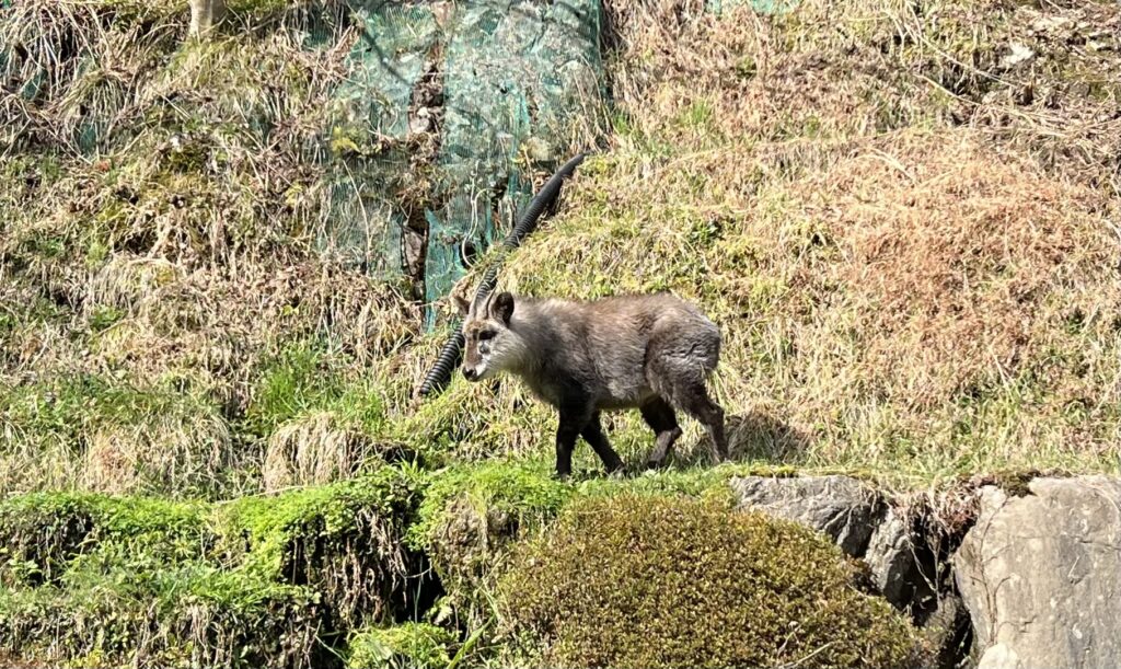 Joy of mountain area of Japan,Hirugami Onsen( hot spring), Tenryu Gorge ...