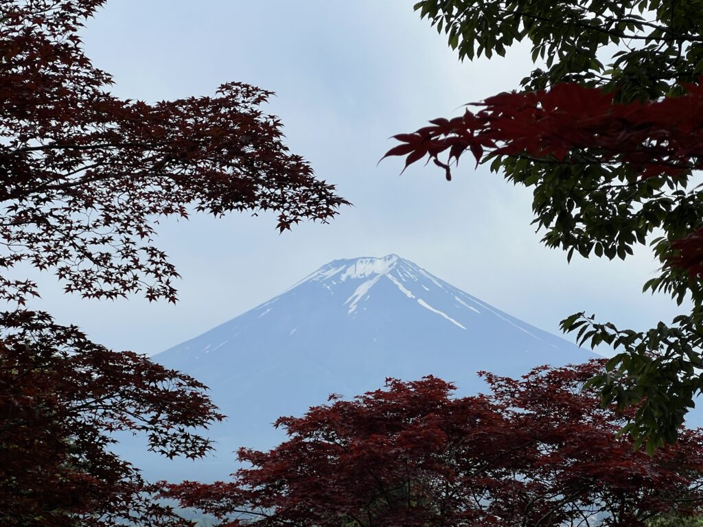 Top nature and culture activities for a family first time to Japan!Mt ...