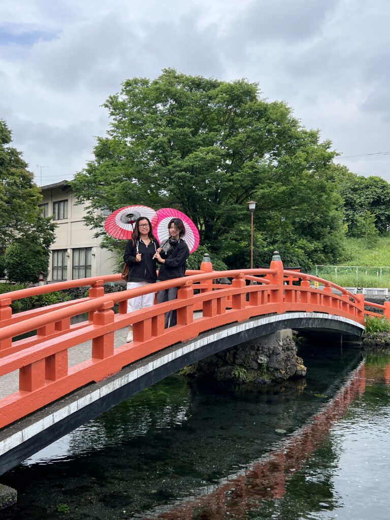 Top nature and culture activities for a family first time to Japan!Mt ...