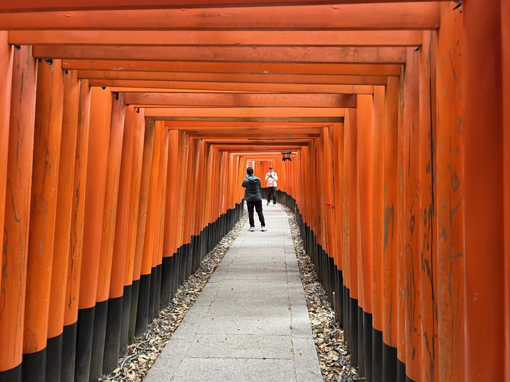 Kyoto 1-Day Tour,Kimono experience, Nomiya shrine,Bamboo forest ...