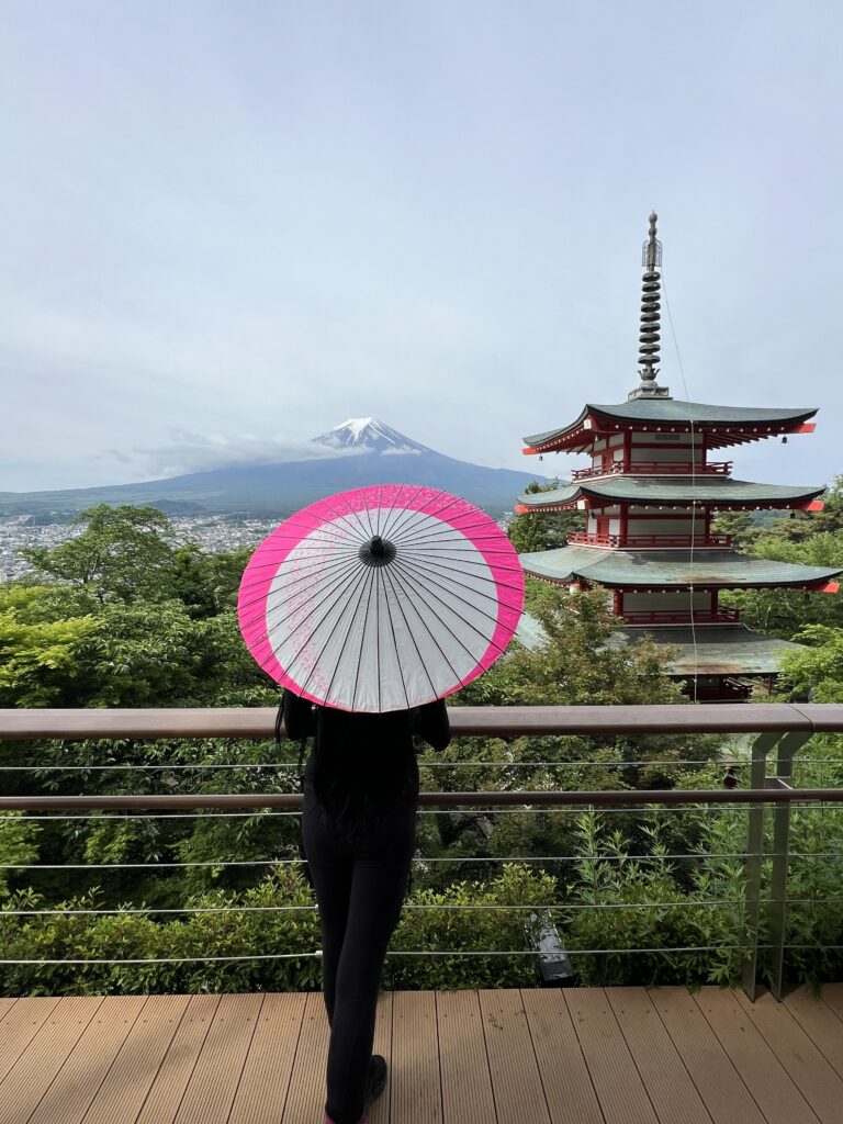 Top nature and cultural activity in Japan for first time solo traveler ...