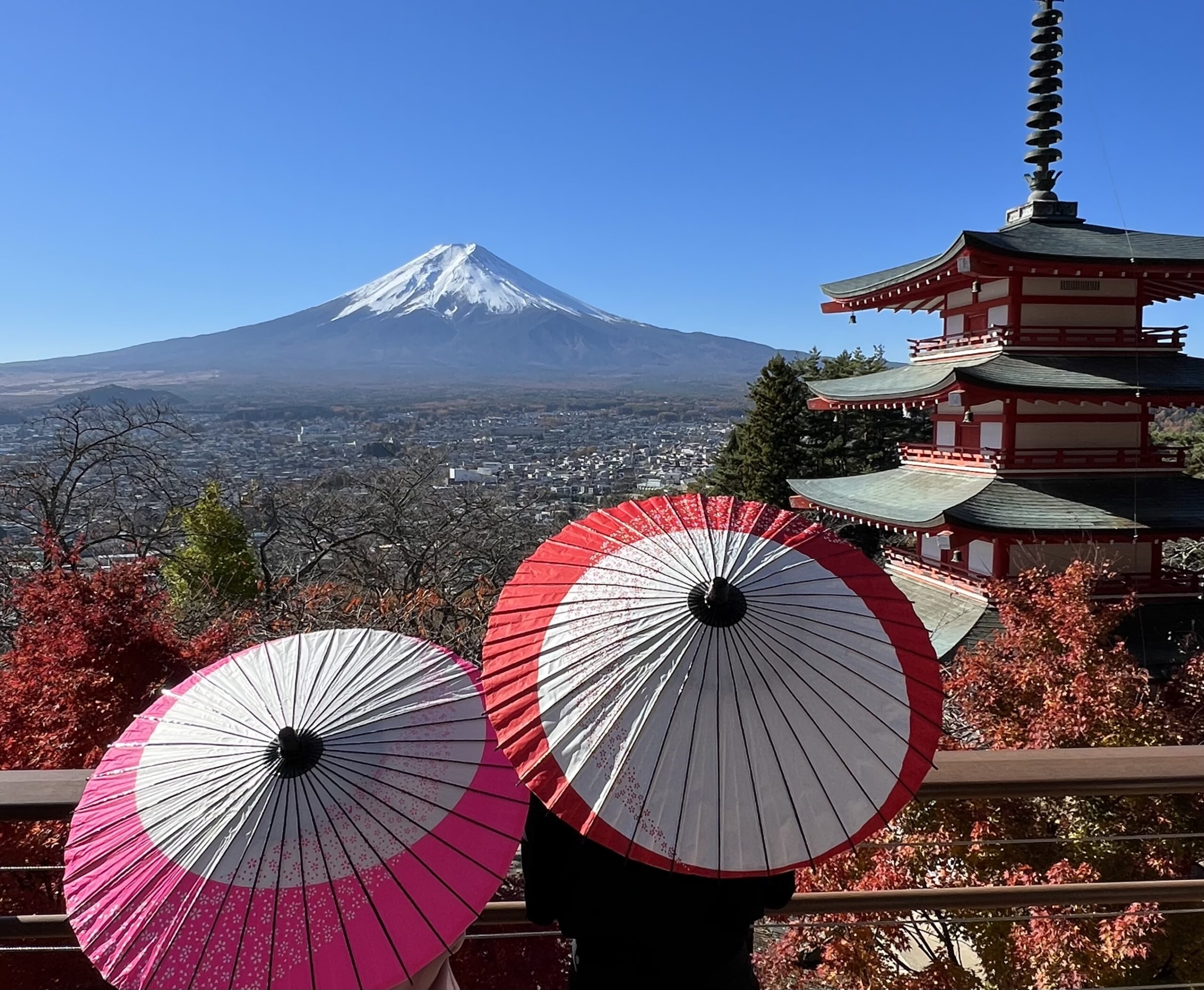 2025年9月│TOKYO travel TIPS