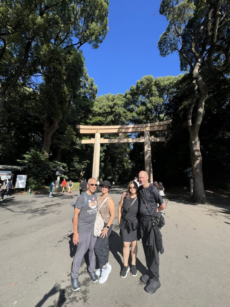 Tokyo 1 Day Tour ! Hachiko faithful dog, Shibuya Crossing,Meiji shrine ...