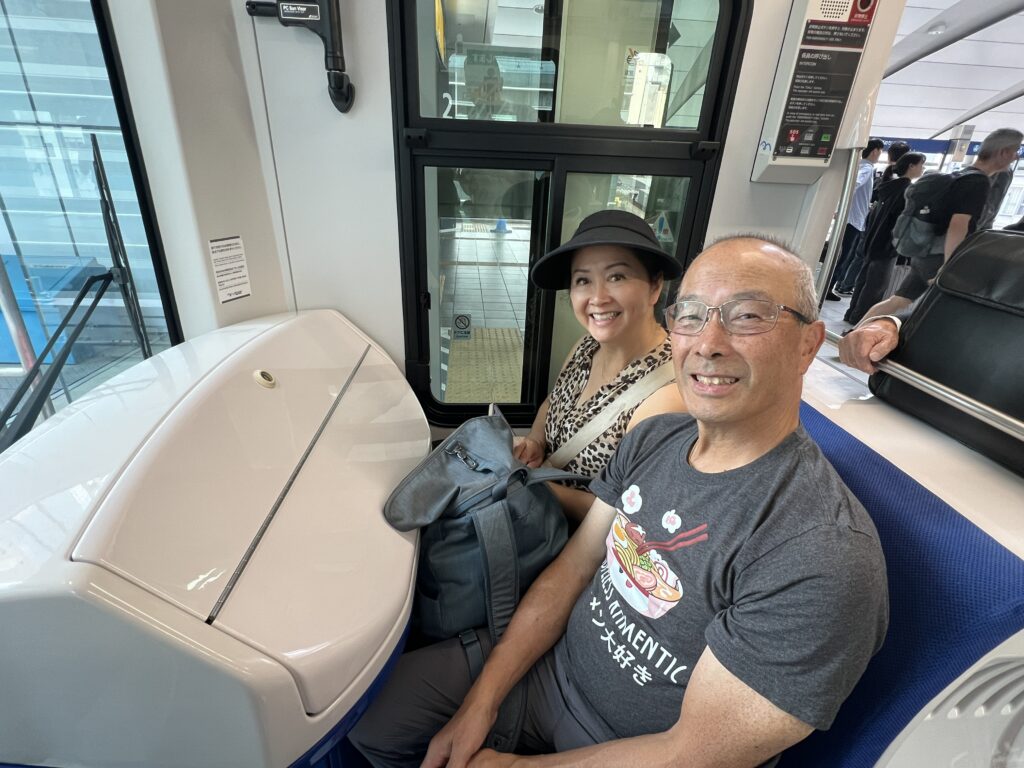 Tokyo 1 Day Tour ! Hachiko faithful dog, Shibuya Crossing,Meiji shrine ...