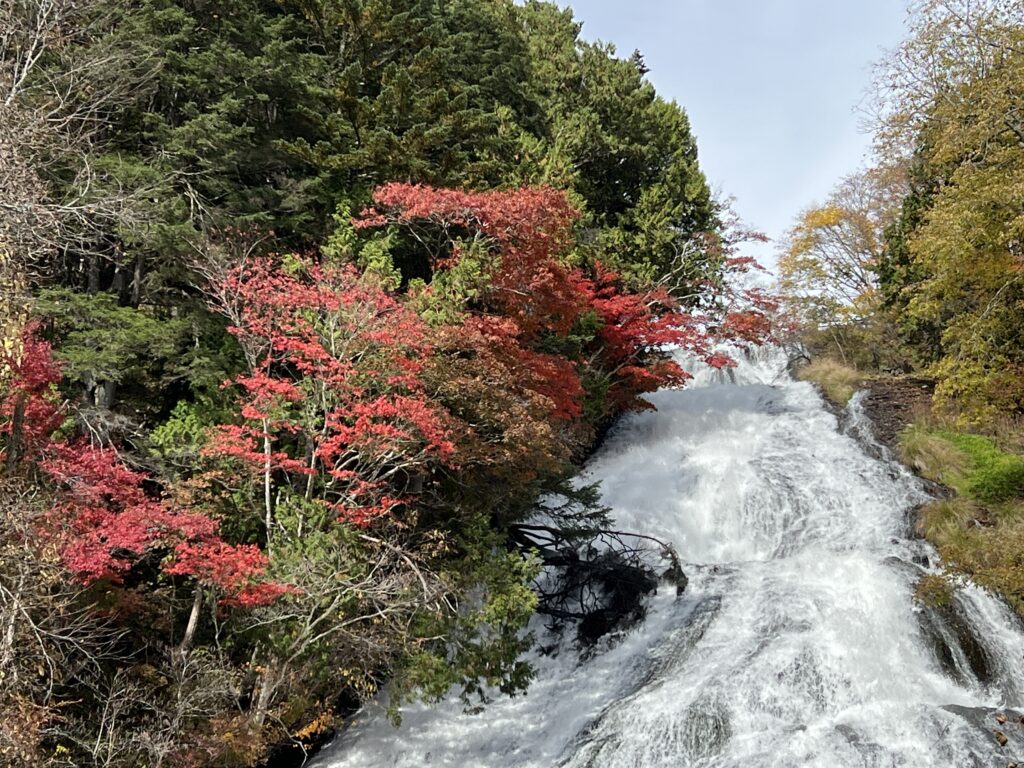 Shogun tour, Nikko 1 day tourShinkyo-bridge ( God bridge), Rinnouji ...