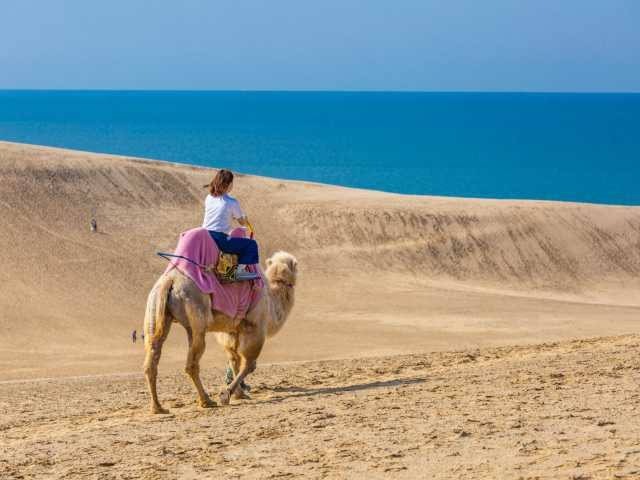 Desert in Japan, Tottori sand dunes!!