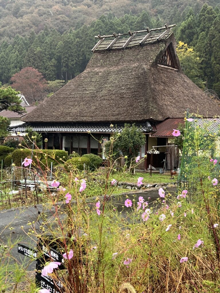 Autumn Kyoto 1 day tour, Northern Kyoto, Miyama Kayabuki-no-Sato and ...