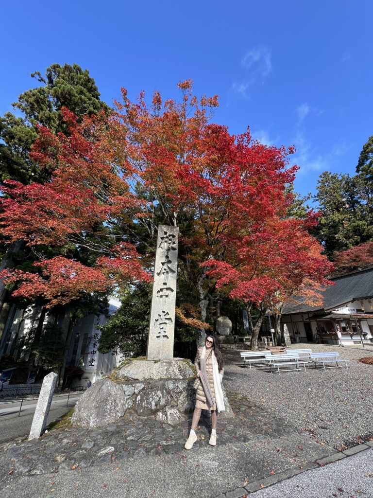 Kyoto 1 day Tour, Rabbit shrine Okazaki shrine with cute rabbit dolls ...