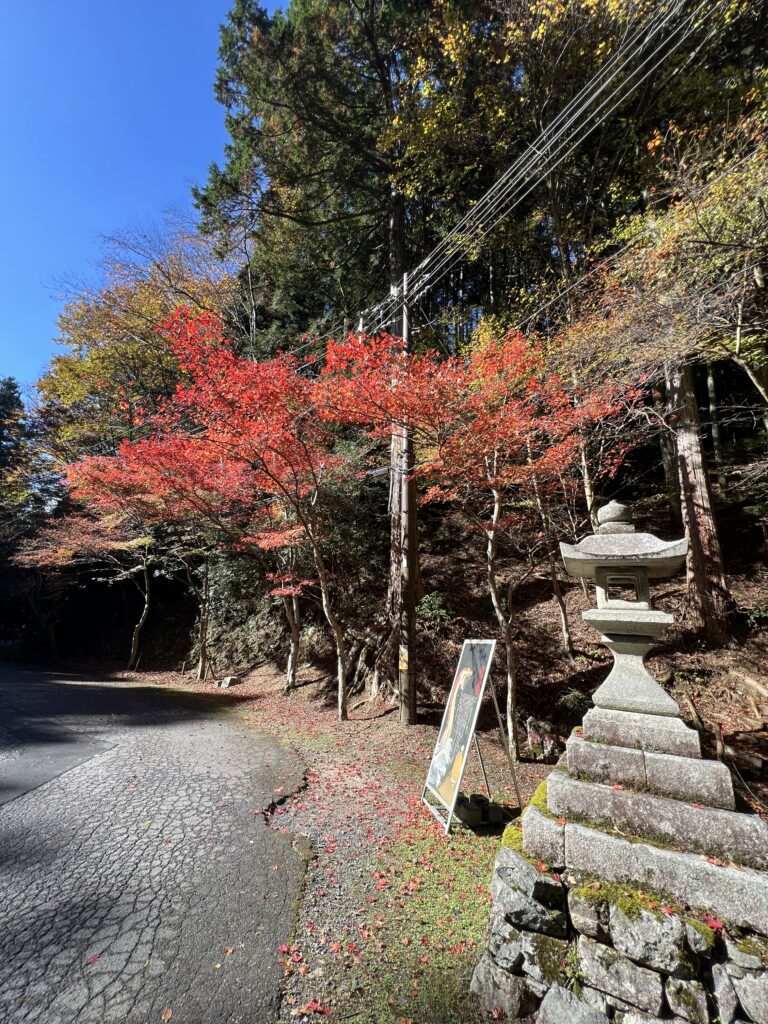 Kyoto 1 day Tour, Rabbit shrine Okazaki shrine with cute rabbit dolls ...
