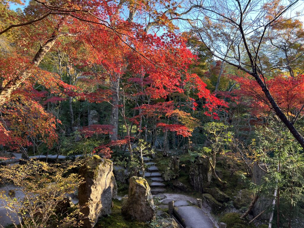 Kyoto 1 day Tour, Rabbit shrine Okazaki shrine with cute rabbit dolls ...