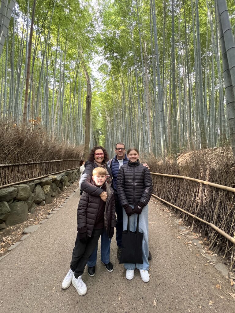 Kyoto 1-Day Tour,Nomiya shrine,Bamboo forest,Tenryuji UNESCO World ...