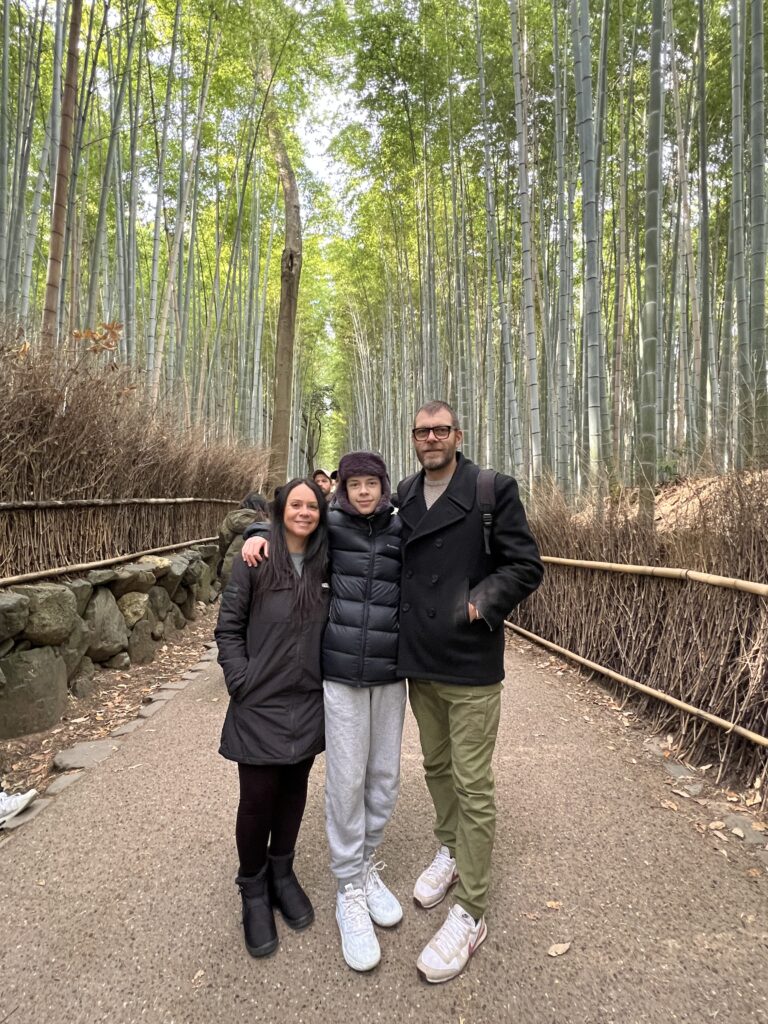 Kyoto 1-Day Tour,Nomiya shrine,Bamboo forest,Tenryuji UNESCO World ...