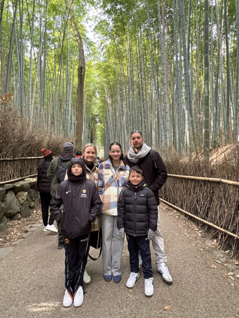 Kyoto 1-Day Tour,Nomiya shrine,Bamboo forest,Tenryuji UNESCO World ...