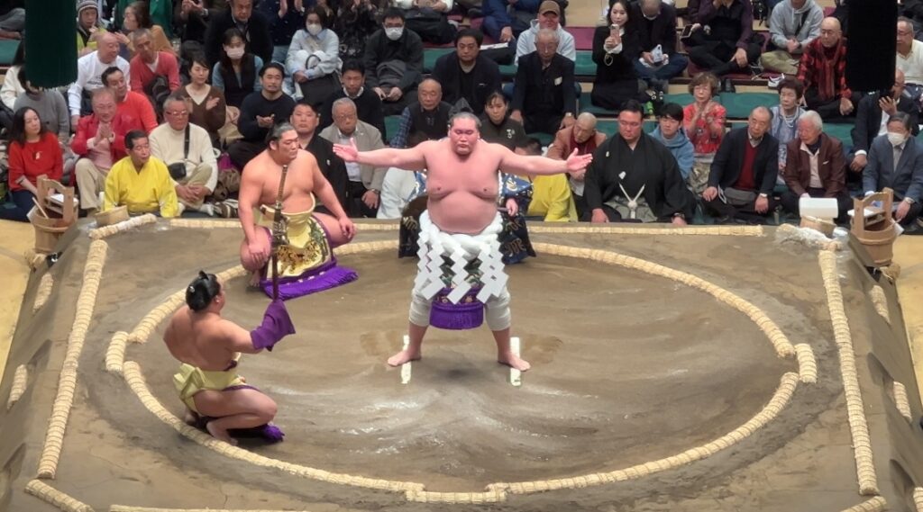 How to Enjoy Sumo wrestling!