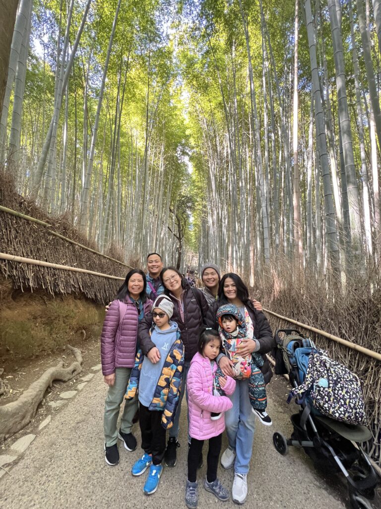 Kyoto 1-Day Tour,Nomiya shrine,Bamboo forest,Tenryuji UNESCO World ...
