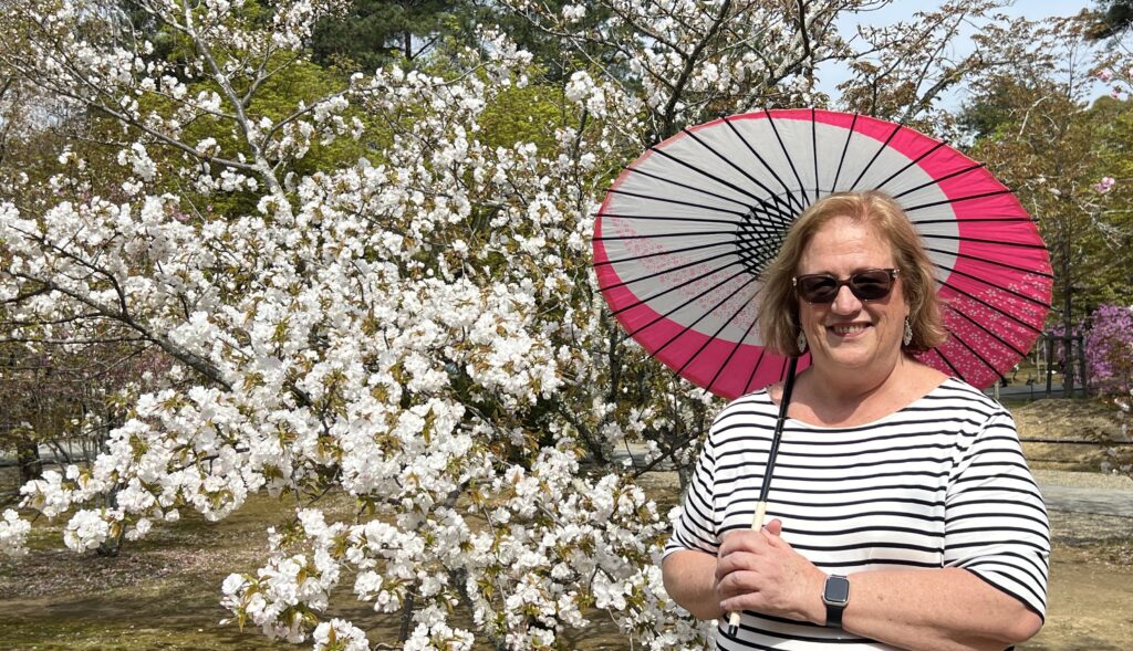 1-day tour from Kobe Cruise Port to Kyoto!Ninna-ji Temple late blooming cherry blossom, Kinkaku ...