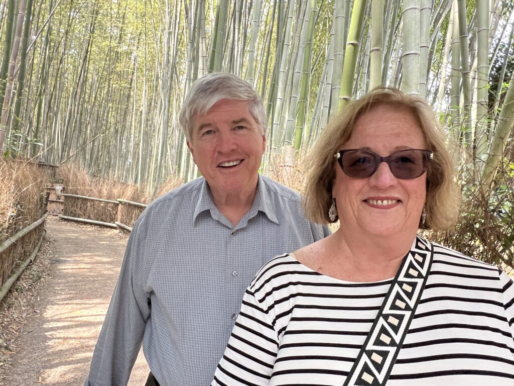 1-day tour from Kobe Cruise Port to Kyoto!Ninna-ji Temple late blooming ...