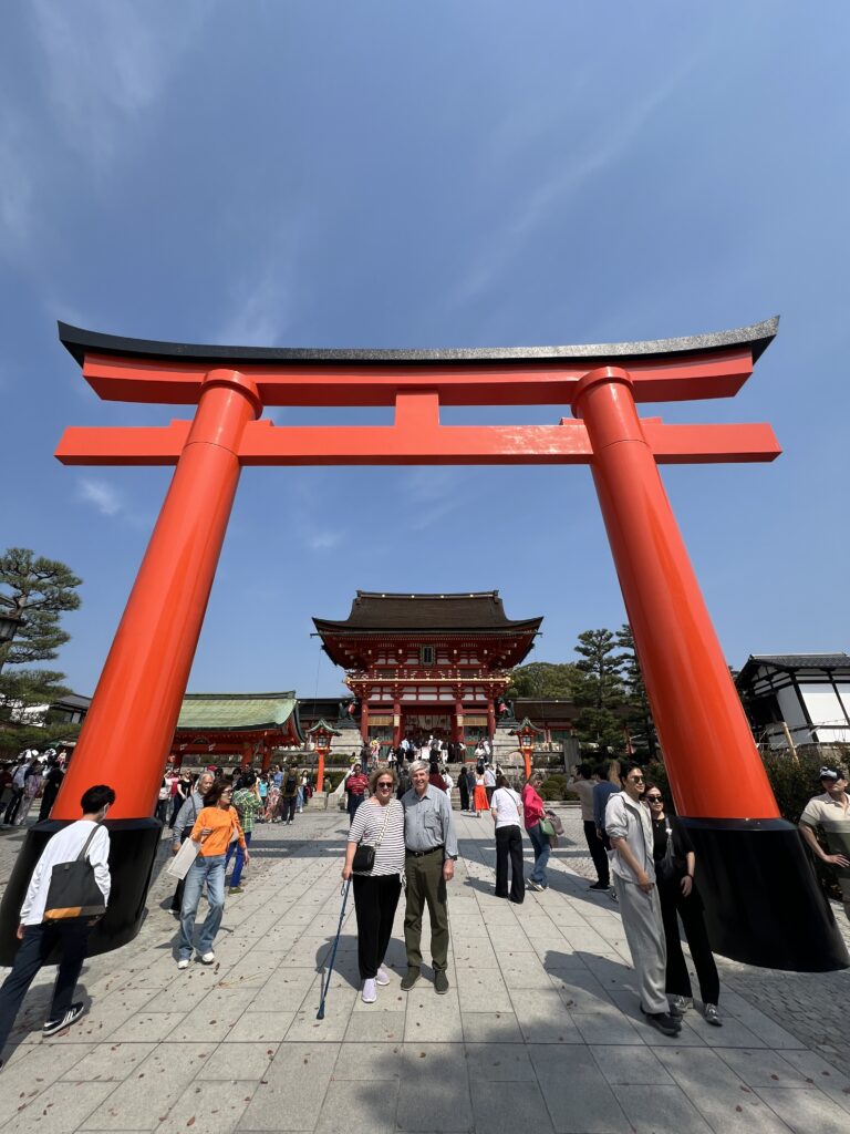 1-day tour from Kobe Cruise Port to Kyoto!Ninna-ji Temple late blooming cherry blossom, Kinkaku ...