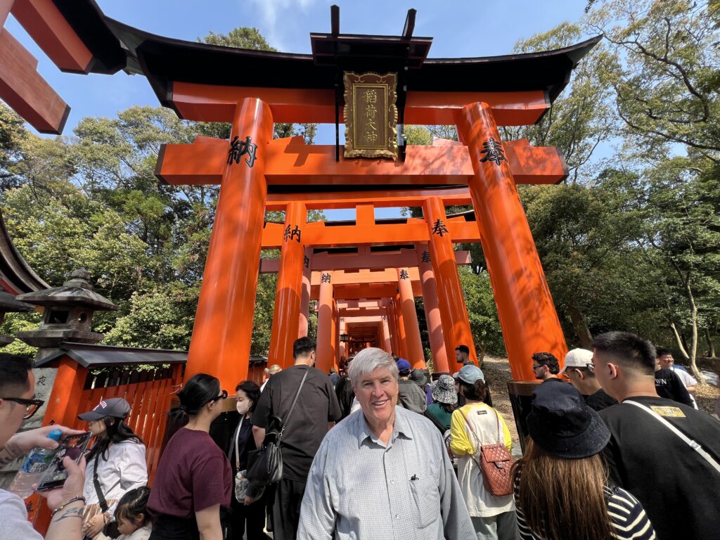 1-day tour from Kobe Cruise Port to Kyoto!Ninna-ji Temple late blooming ...