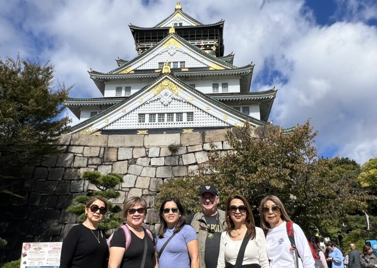 Osaka 1 day tour, tradition and fun! Kutmromon market, Osaka castle ...