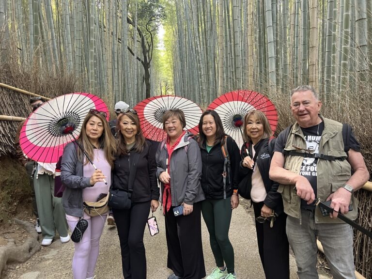 Kyoto 1 day tour, Golden Pavilion, Matcha tea ceremony,Tenryuji temple ...